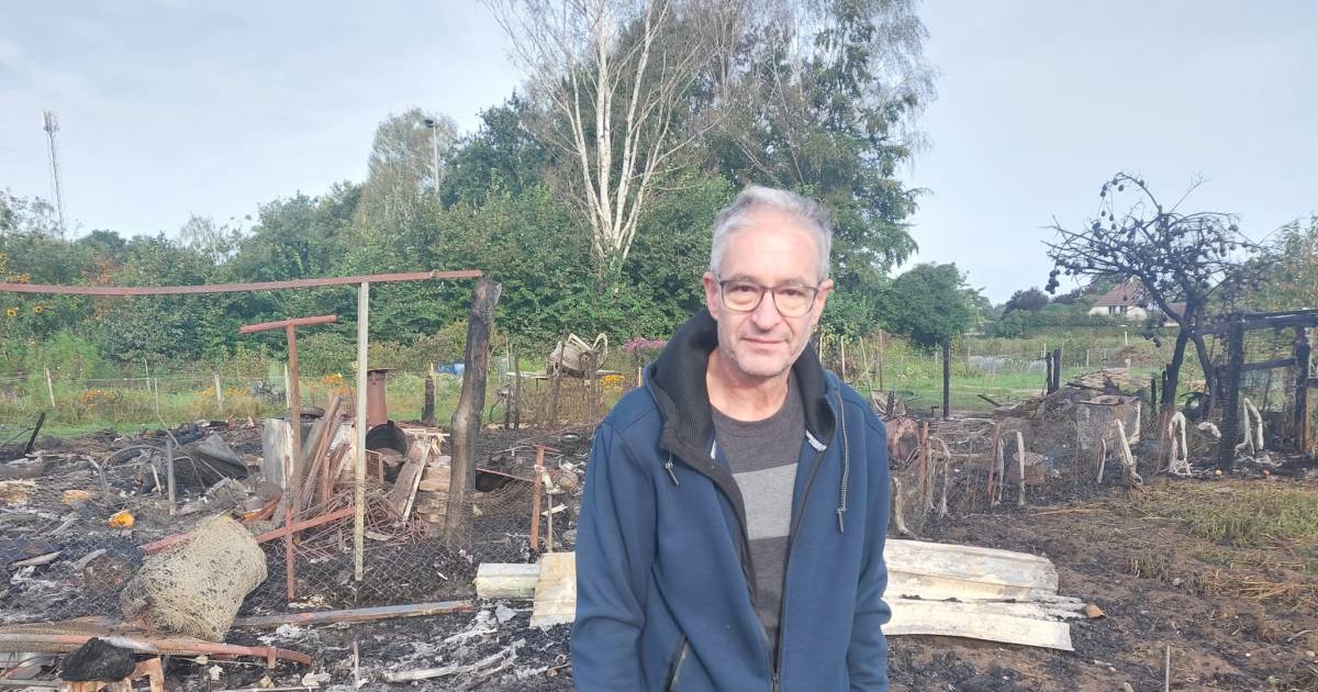 Volkstuin in Boxmeer compleet verwoest door brand, oorzaak door harde wind niet te achterhalen ...