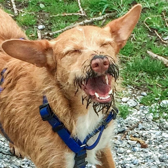 Dit zijn onze Frekkels uit de regio | Home | gelderlander.nl