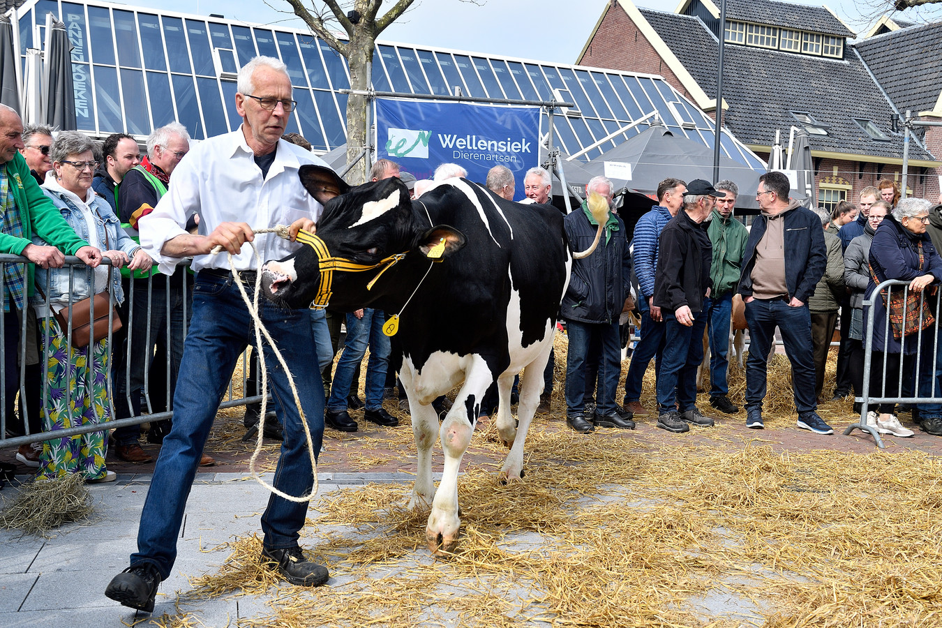Koeien keuren, schapen scheren en ‘af en toe’ een biertje: zo ziet ...