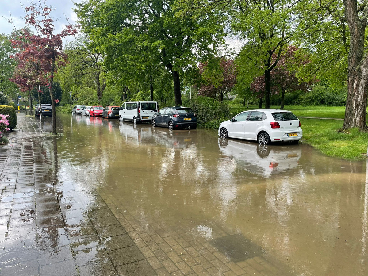Code geel vanwege hoeveelheid neerslag in Brabant ingetrokken | Foto ... Code geel vanwege hoeveelheid neerslag in Brabant ingetrokken | Foto ...