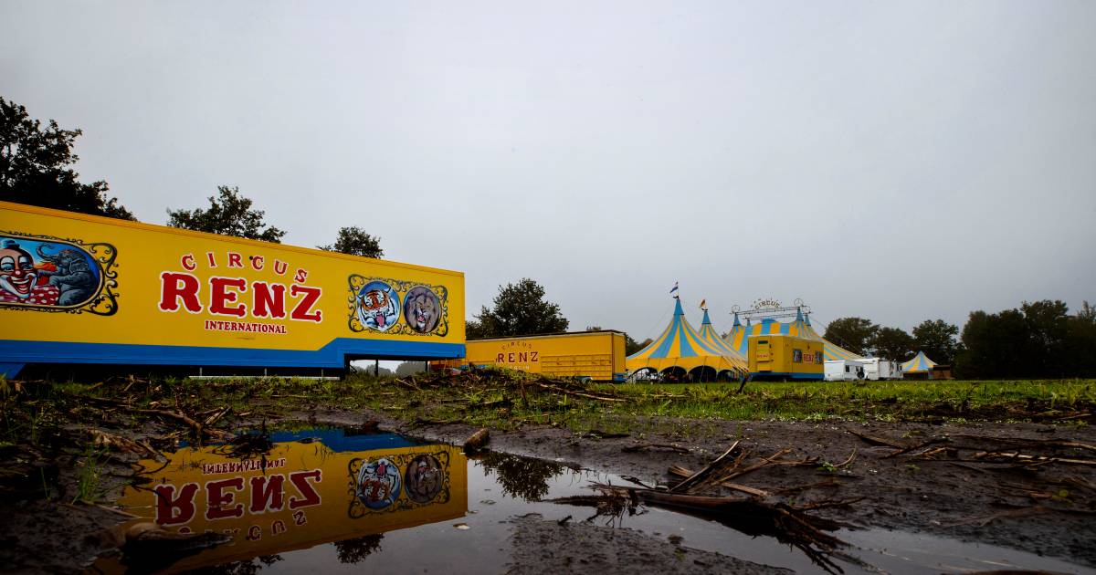Circus Renz International op nieuwe plek voor evenementen in Berkendonk ...