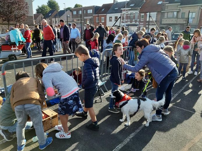 Dikbillen stelen show tijdens zonovergoten jaarmarkt | Dendermonde | hln.be