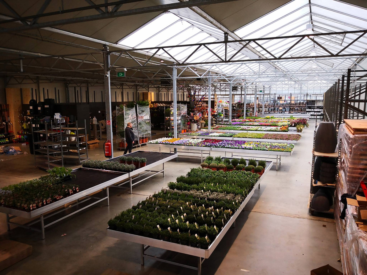 Fleur en kleur bij je thuis: bij deze 6 tuincentra in de regio ...