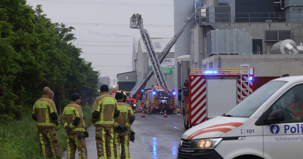 Brand in drooginstallatie van mestverwerkend bedrijf Fertikal | Beveren ...
