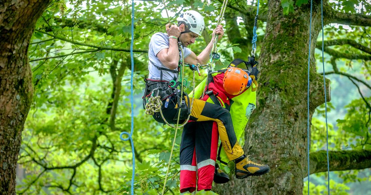 Wie wint het Belgisch kampioenschap Boomklimmen in Brugge? | Brugge ...