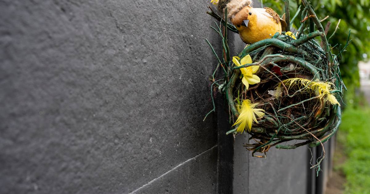 Cultuurraad zoekt kandidaten voor Cultuurprijs en Zilveren Pluim ...