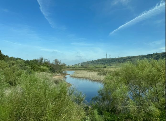 Sidi Boughaba Park in Marokko hernoemd tot Zoniënwoud | Brussel | hln.be