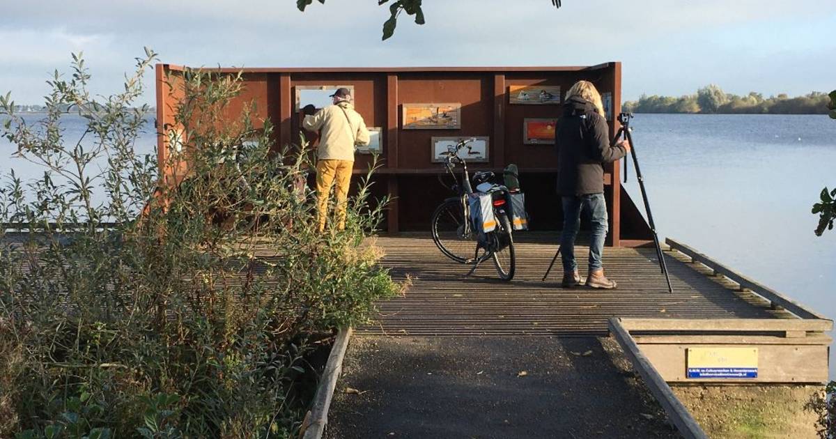 Deze polder veranderde in water en viel toen droog, maar is nu weer een ...