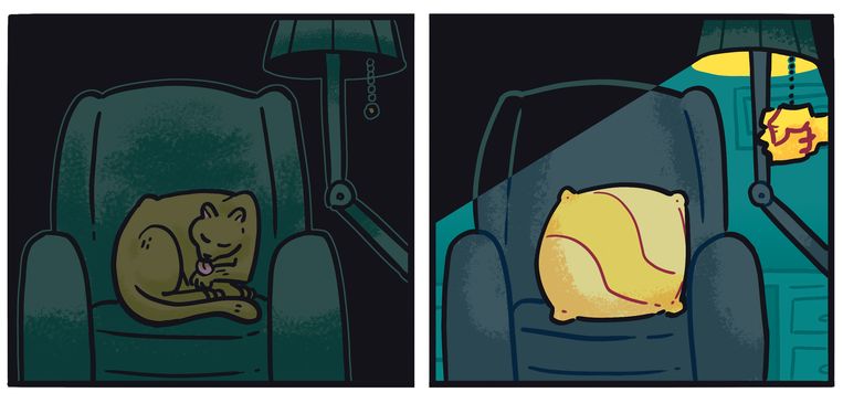 Kunnen hallucinaties en wanen een symptoom zijn van dementie?