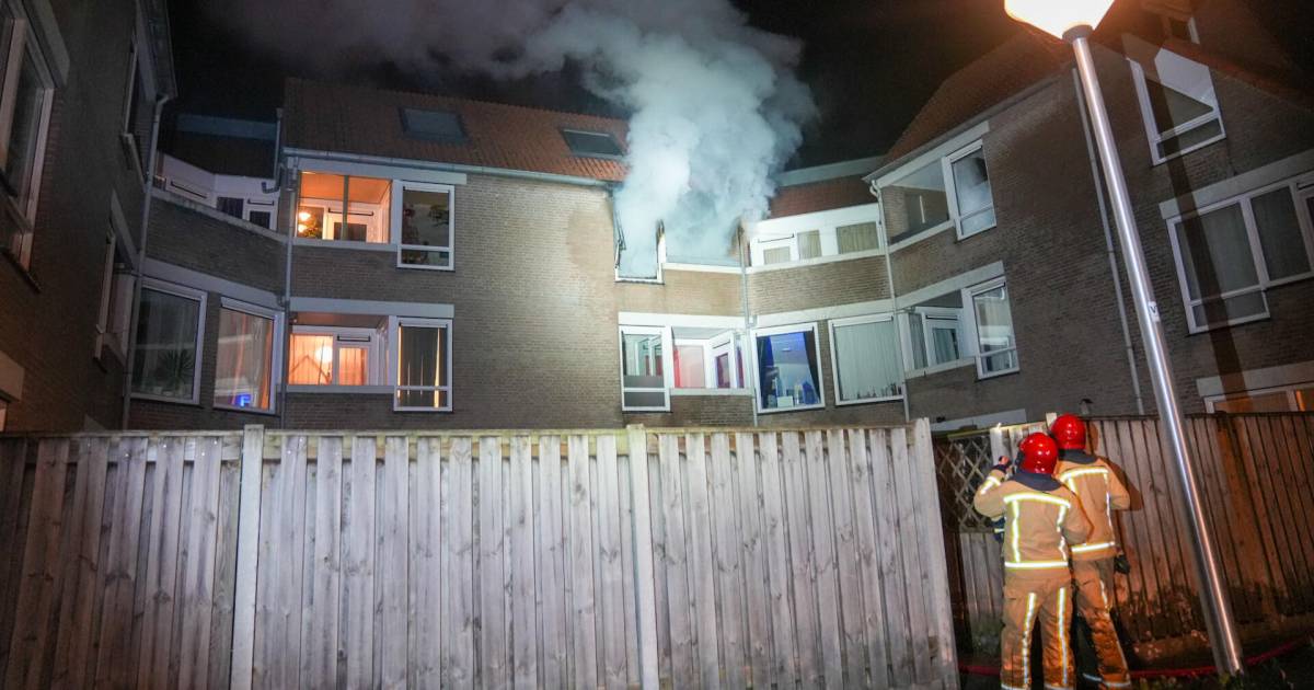 Verwarde Naakte Helmondse Brandstichter Kreeg Eerder Cel Voor Dodelijke