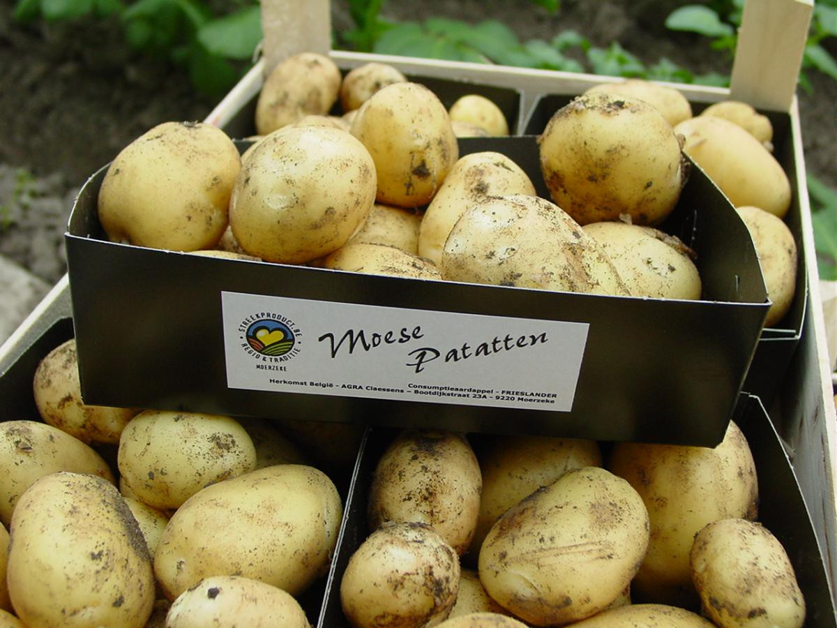 5 Vlaamse makers van streekproducten over hun specialiteit: “Een ...