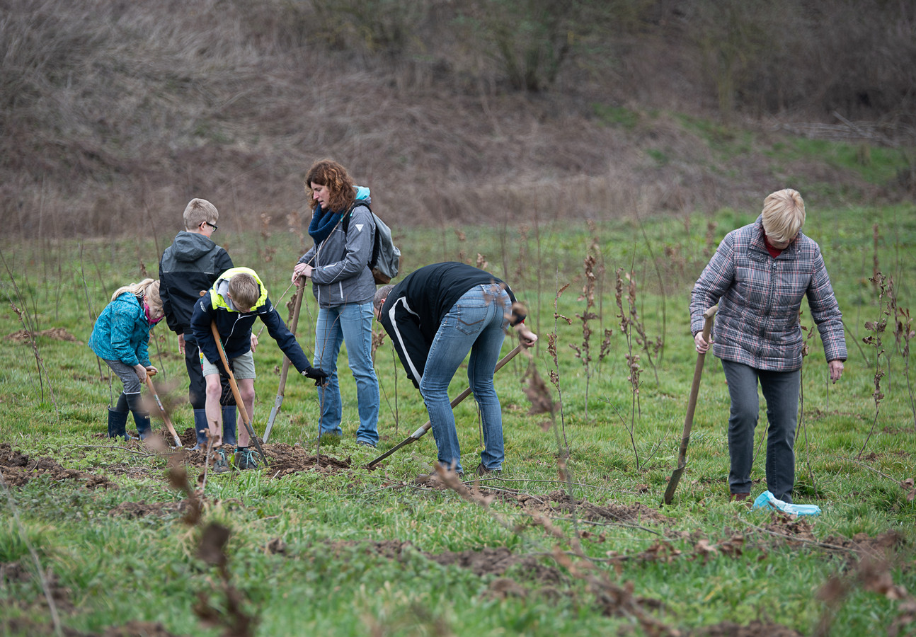 5.600 boompjes gingen de grond in tijdens bosaanplanting voor Plan ...