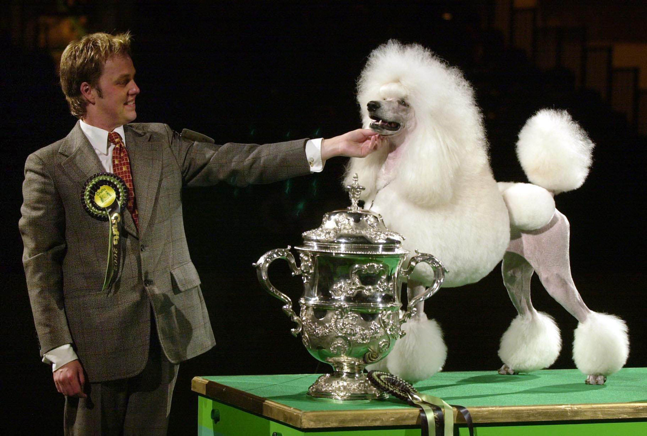 Geen dolfijnenshows meer, maar kunstjes met honden een paarden dan ...