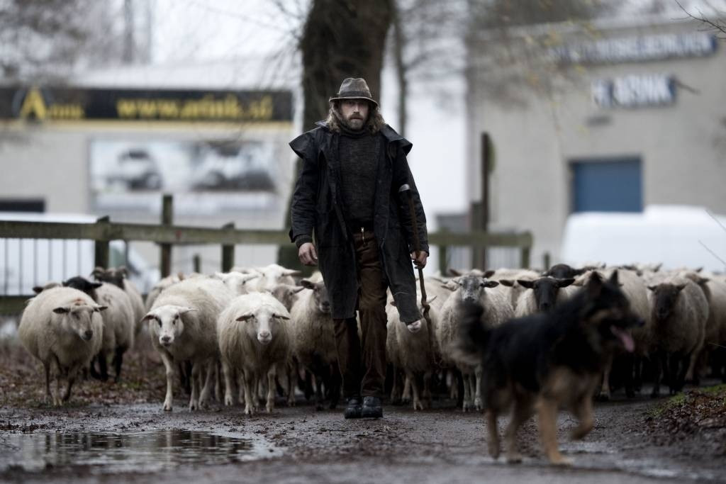 Traditionele schaapherder op lijst van nationale erfgoedlijst | Foto ...
