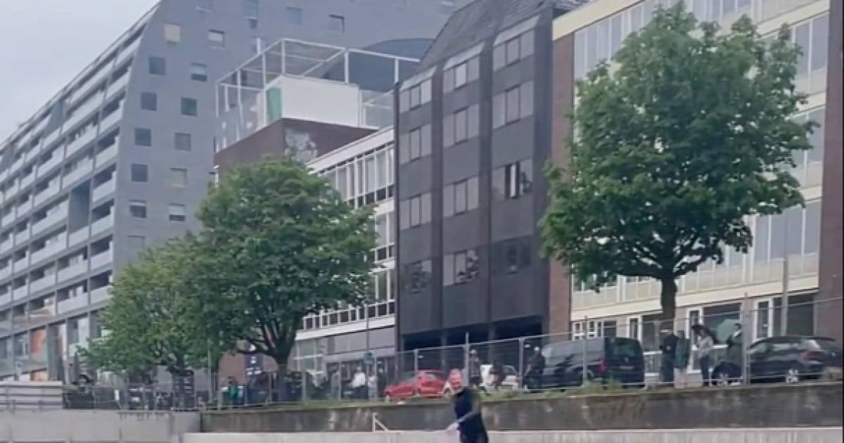Eerste surfers in Rotterdams centrum gespot: testfase van Rif010 ...