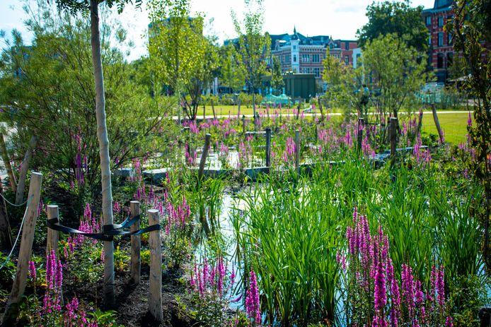 Het nieuwe ‘Central Park’ van Antwerpen, door de ogen van buurtbewoners ...