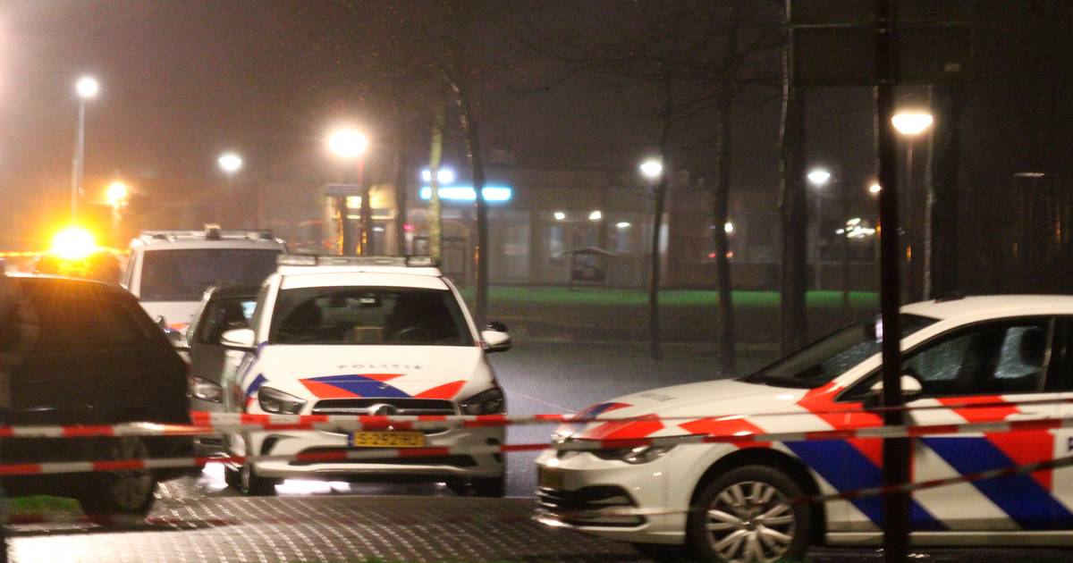 Meisje (17) doodgestoken in Winsum, dochter van medewerker dierenspeciaalzaak | Binnenland | pzc.nl