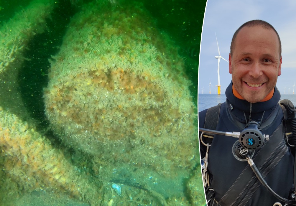 “Hoe explosief is een bord Oostendse vis?”: parlementslid vraagt extra ...