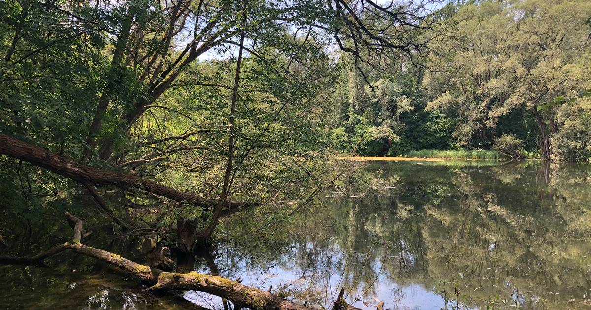 Natuurgebied Wolvenberg-Brilschans erkend als stedelijk natuurreservaat ...
