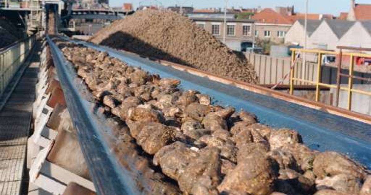 Site voormalige Suikerfabriek Veurne verkocht voor 8,5 miljoen euro ...