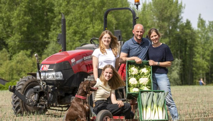 Groenteteler uit Bornem maakt sprongen in duurzaamheid: “Water is een ...
