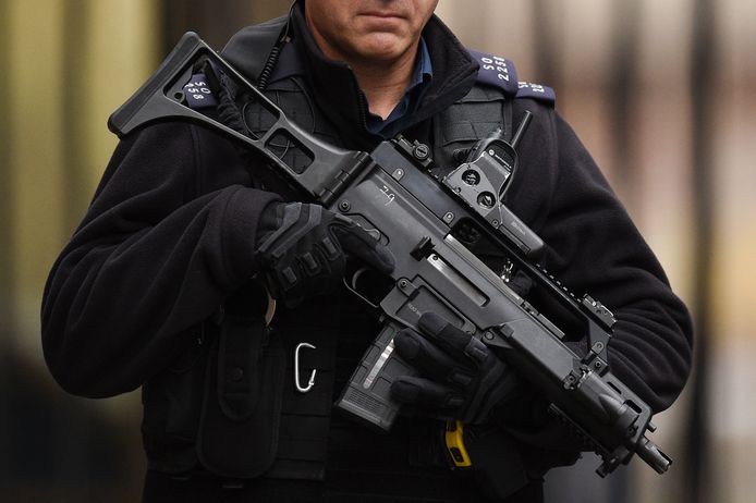 Noord-Ierland krijgt versterking van Engelse en Schotse politie mocht ...