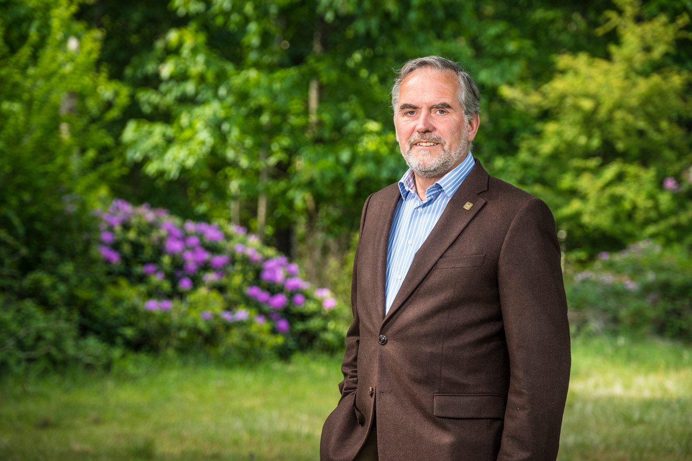 Roep om ingrijpen op Hoge Veluwe vanwege verstoring wolf, parkdirecteur ... Roep om ingrijpen op Hoge Veluwe vanwege verstoring wolf, parkdirecteur ...