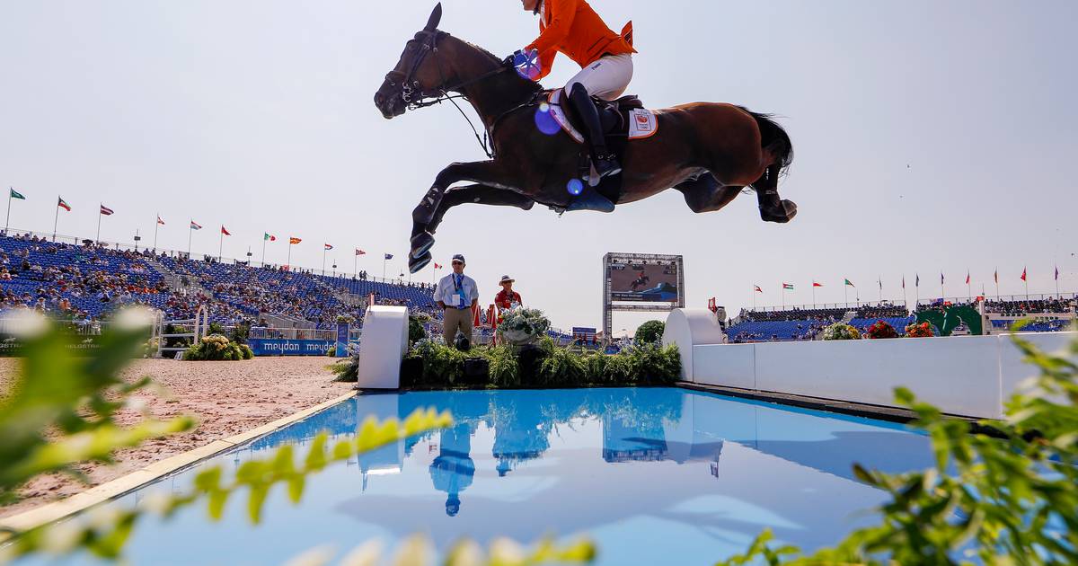 Marc Houtzager begint in Basel veelbelovend met Edinus | Regiosport ...