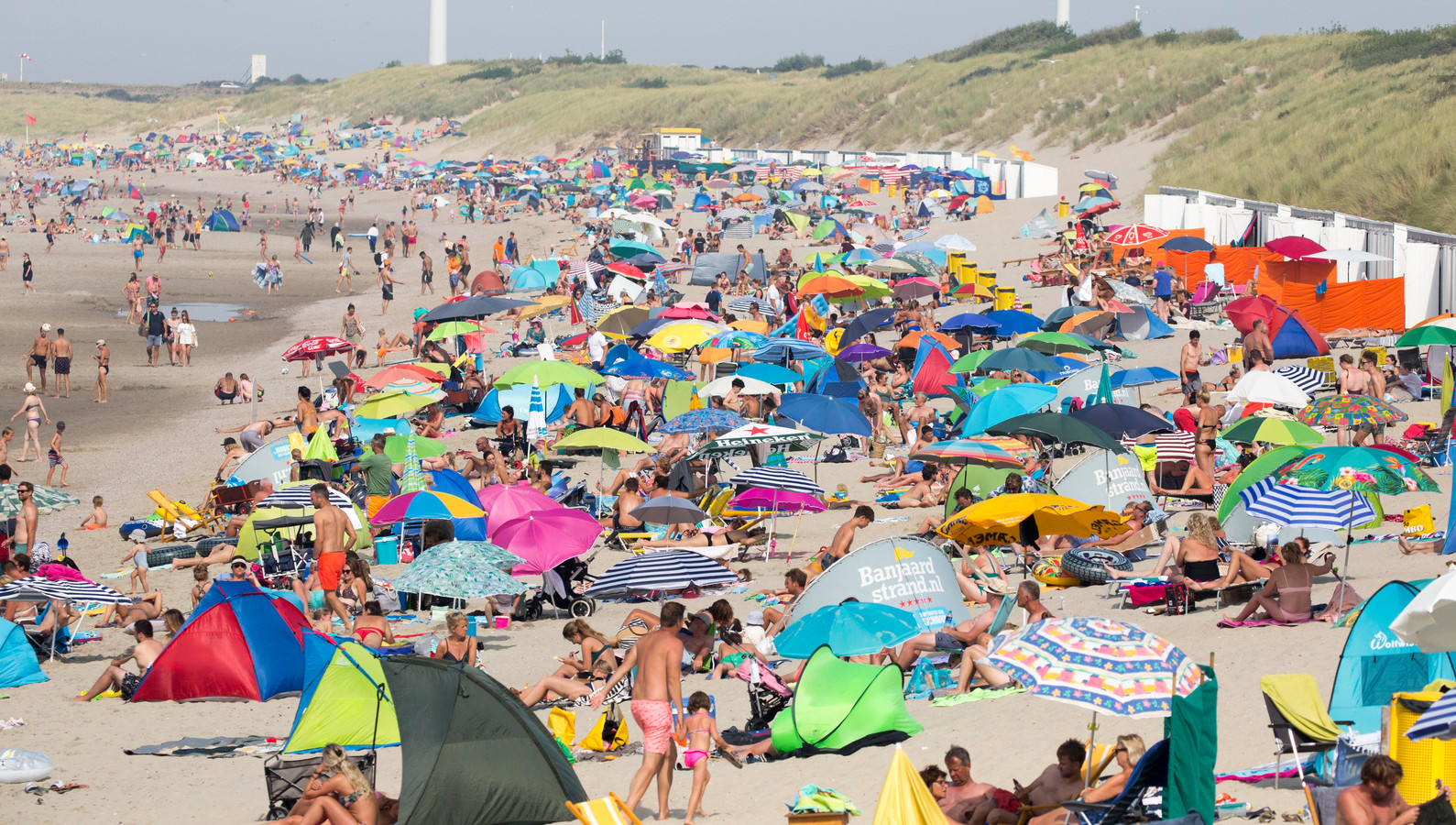 Banjaardstrand en Breezand toch al opgehoogd; over twee weken wordt er ...