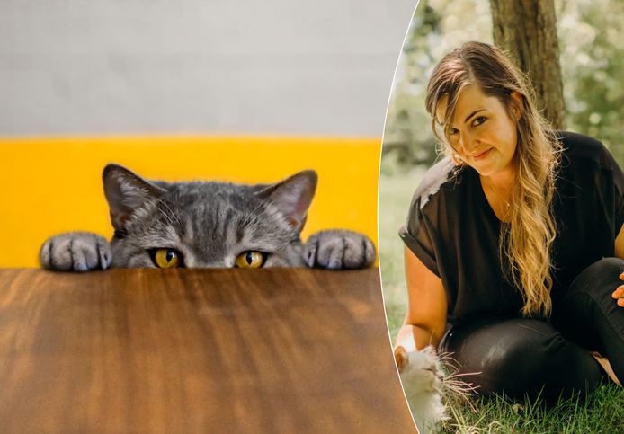 “Een kat heeft 4 tot 6 weken nodig om een nieuwe gewoonte aan te leren ...