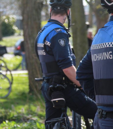 Er is een reden waarom een boa niet bij de politie werkt en niet ...