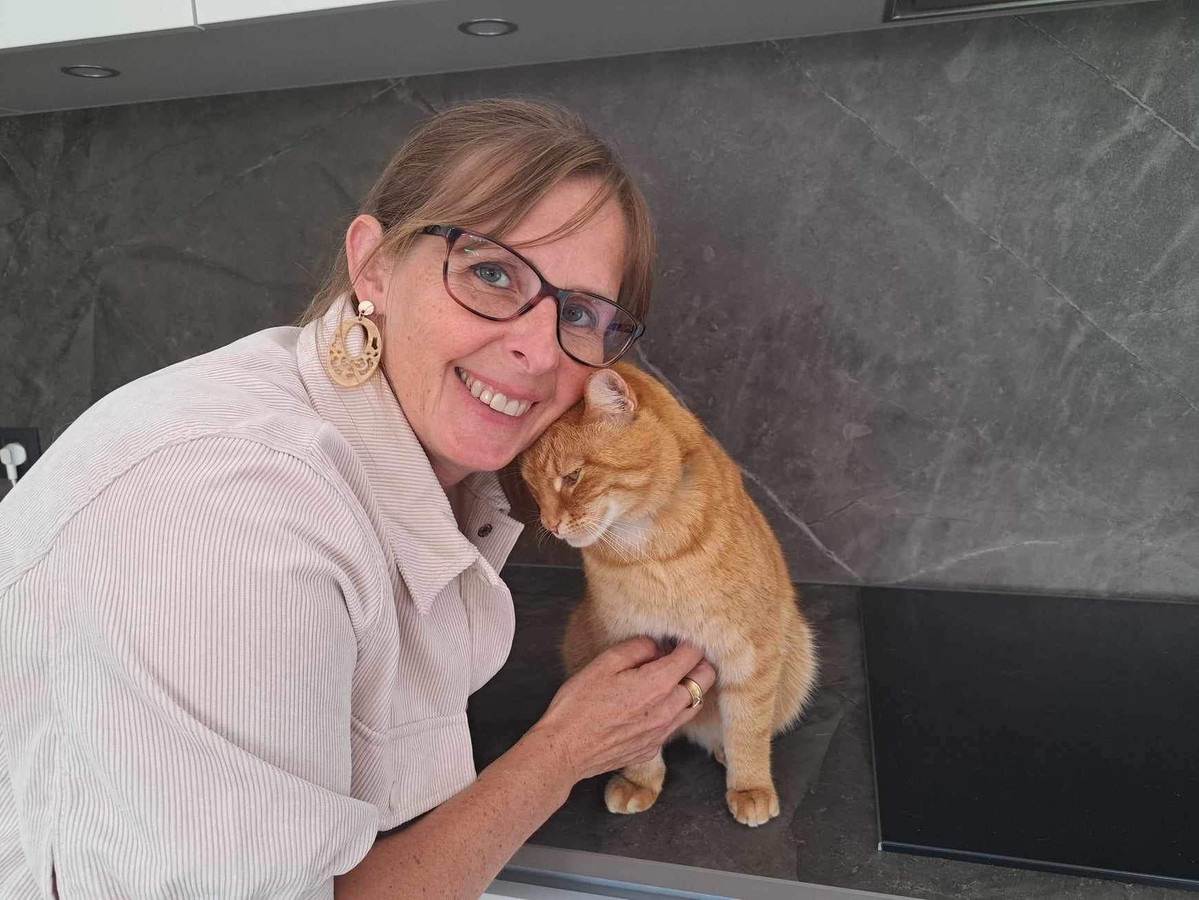“Dit is een mirakel”: rosse kater na 3,5 maand weer thuis | Foto | hln.be