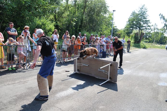 Veiligheidsdiensten in Dendermonde openen hun deuren voor publiek: ook ...