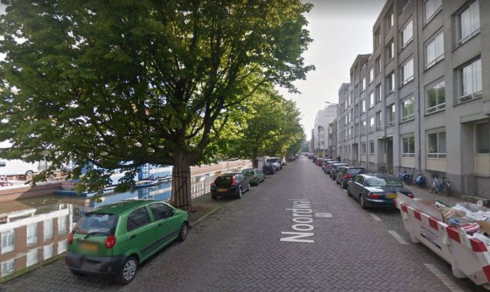 Wethouder De Mos op matje om kastanjekap Noordwal | Den Haag | AD.nl
