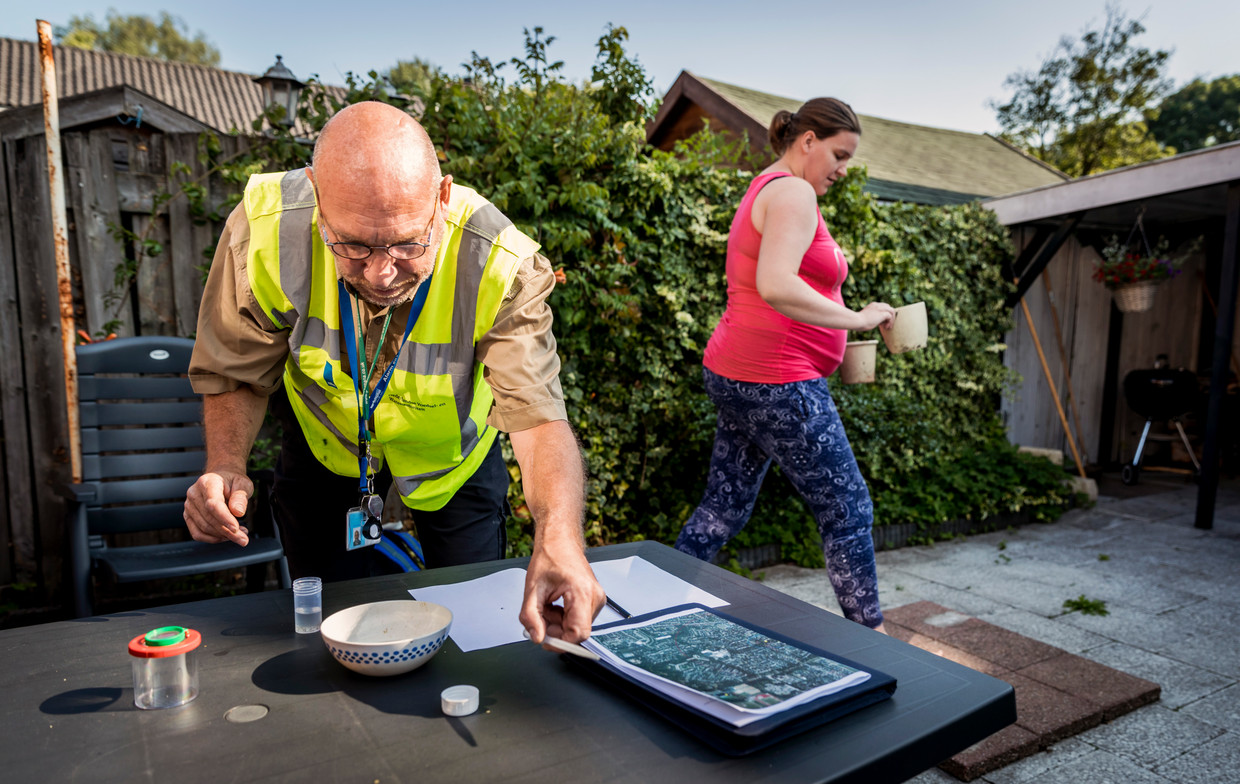 Hittegolven, muggen en overstromingen: hoe het veranderende klimaat de ...