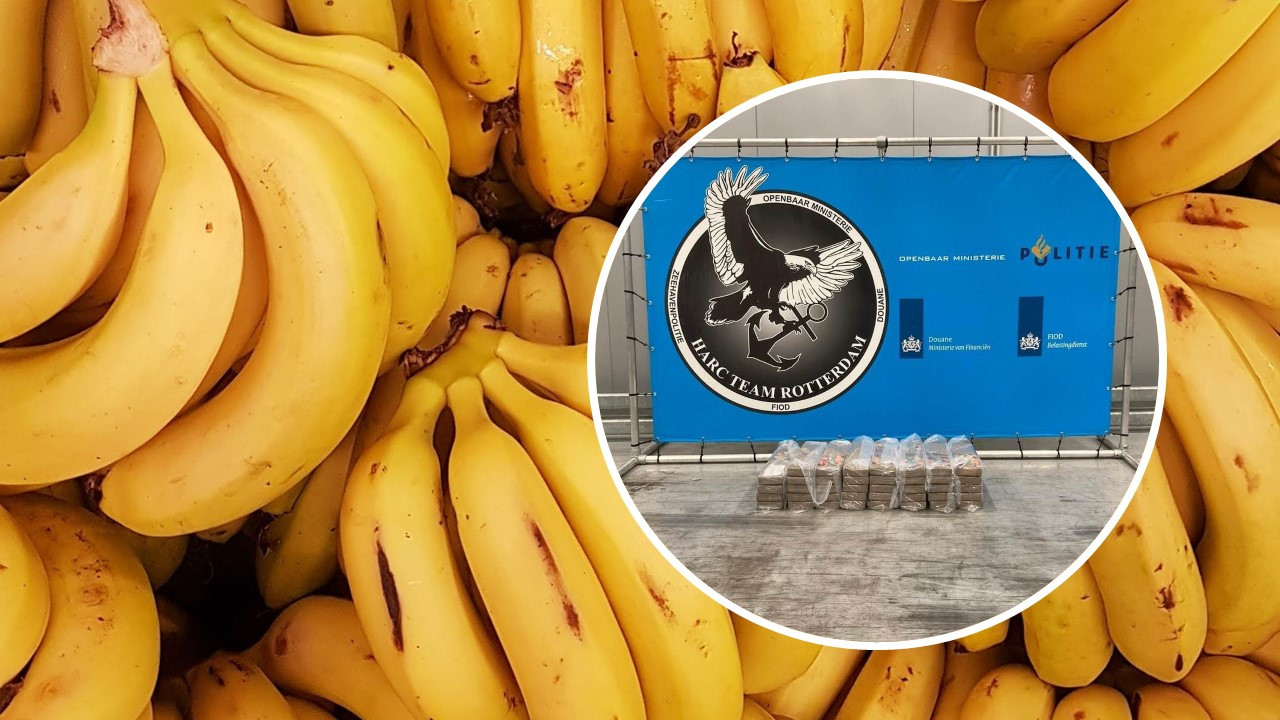 Douane vindt 78 kilo cocaïne tussen de bananen in Rotterdamse haven ...