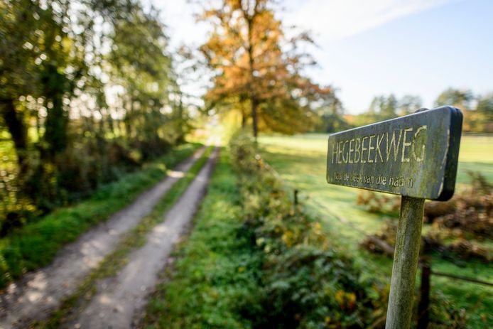 Verrassing: toch groen licht voor 250 huisjes op het Rutbeek | Enschede ...