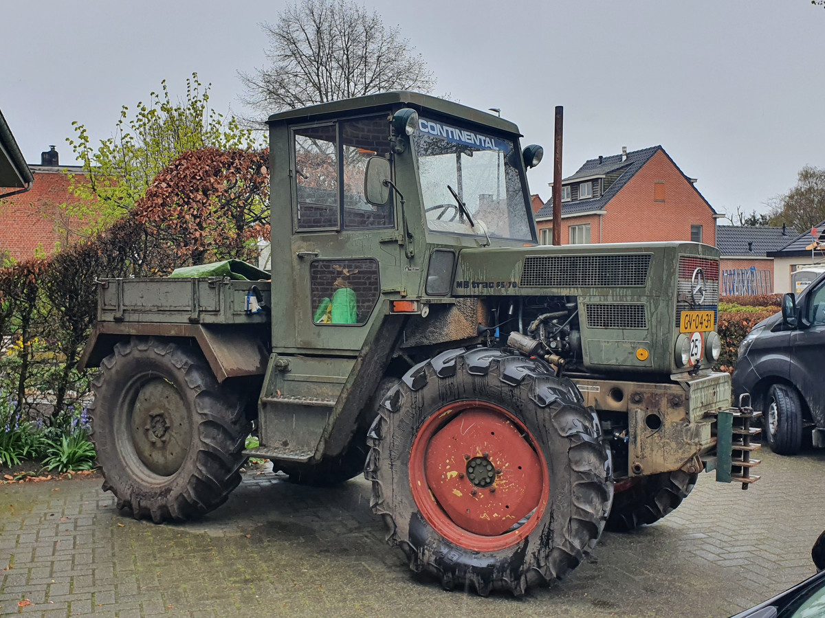 IN BEELD. Geslaagde editie van Hoogstraten Feest en erfgoeddag ondanks ...