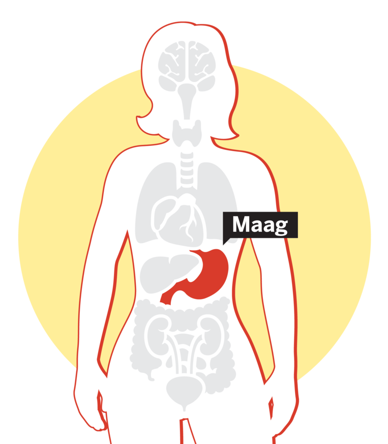 Wat doet extreme warmte met ons lijf? | De Volkskrant