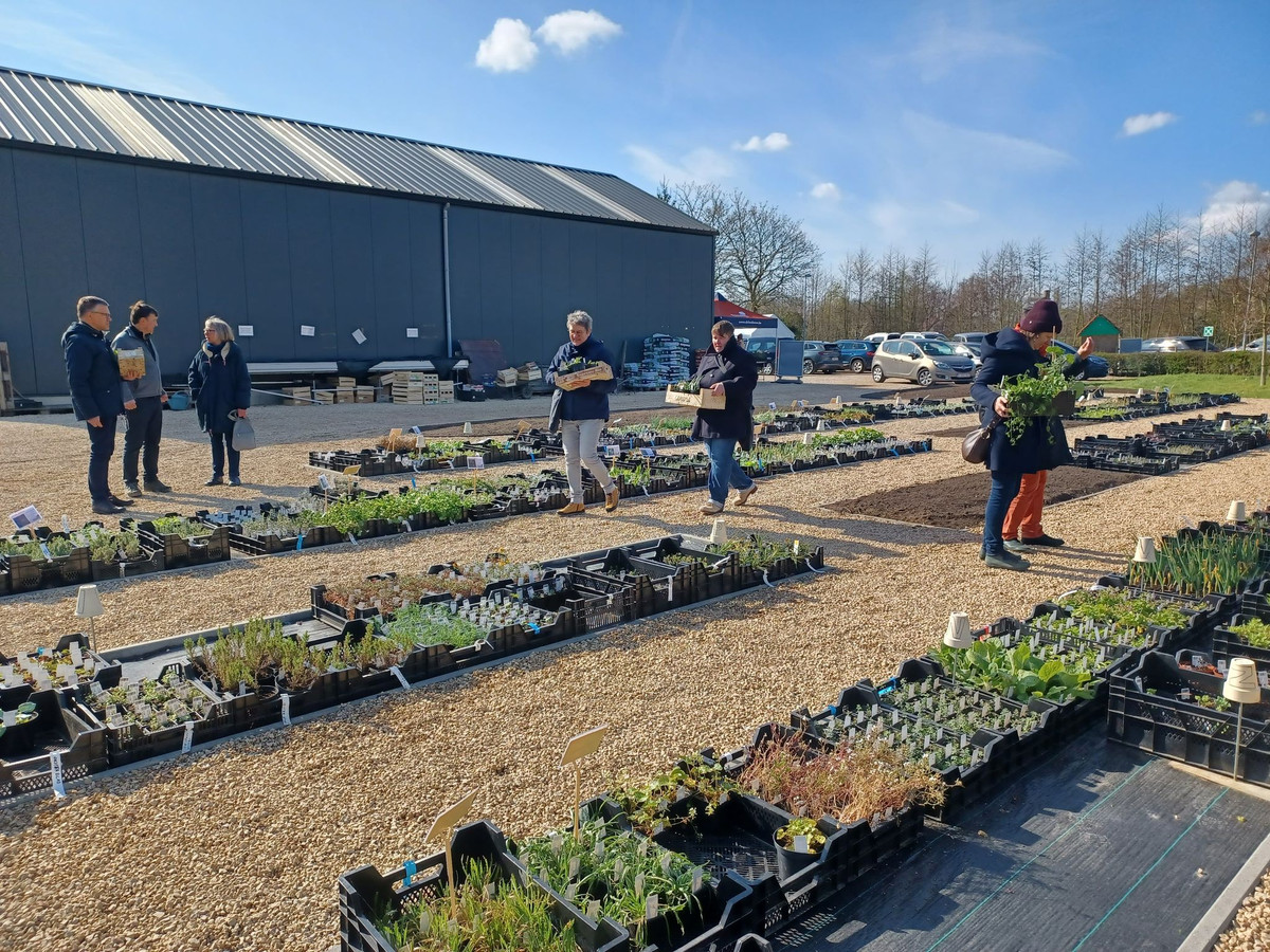 Lenteverkoop van Bioboerderij De Loods: “Onder meer 25 verschillende ...