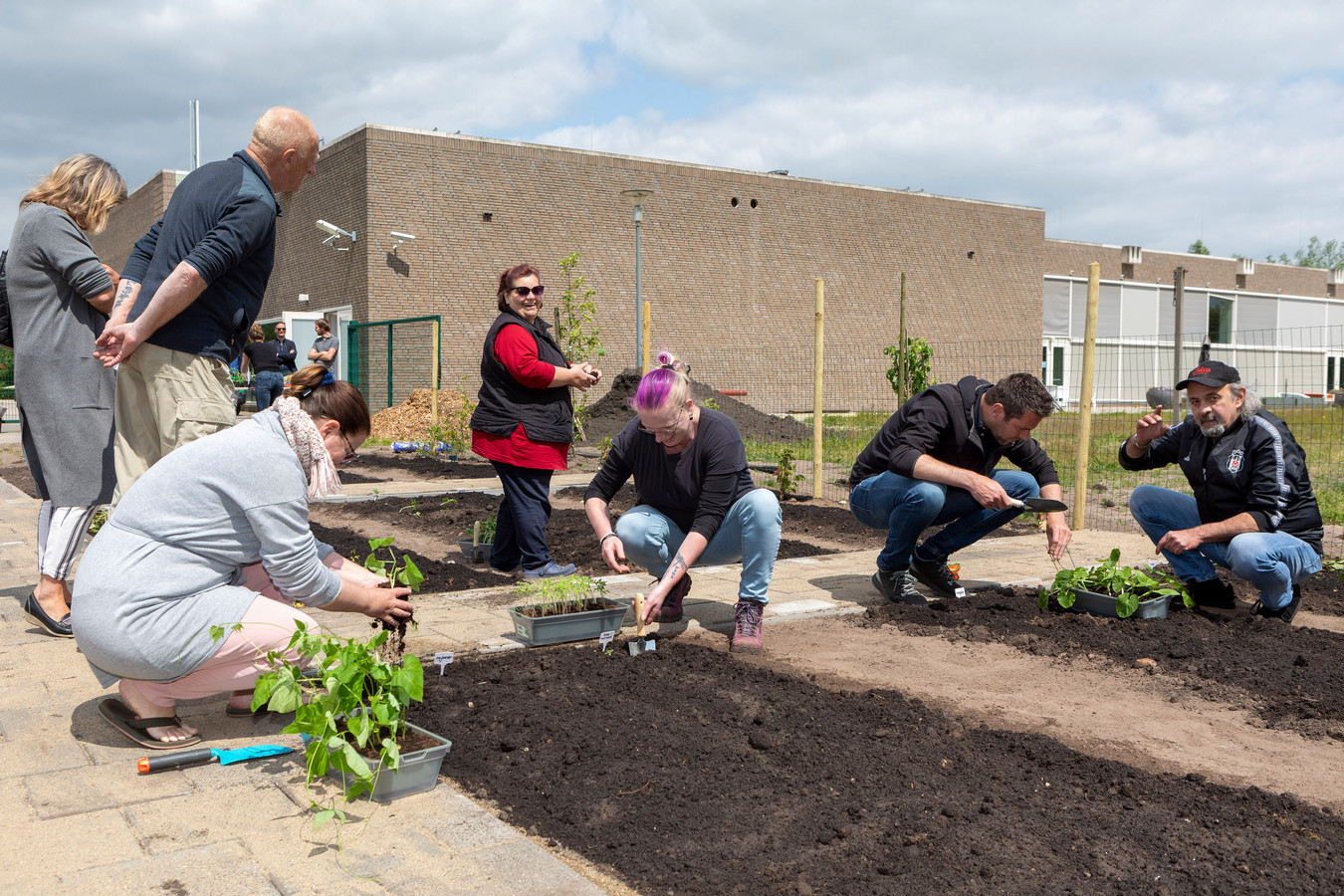 Met wieden en oogsten verbinding met elkaar leggen: ‘In de moestuin had ...