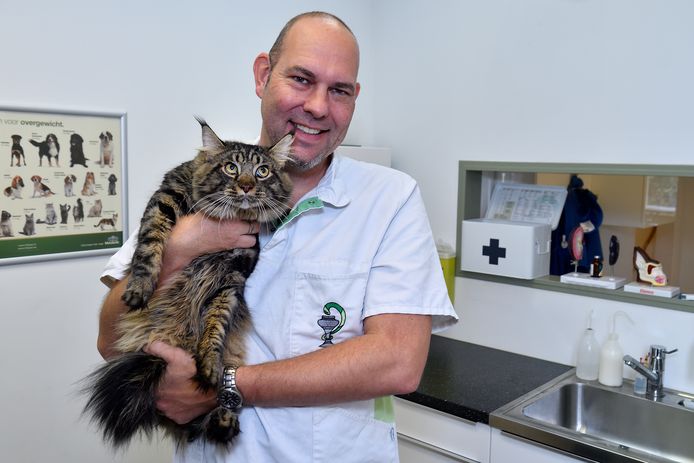 ‘Sociale’ dierenartsen van BeterBeest zijn vijfde van het land ...