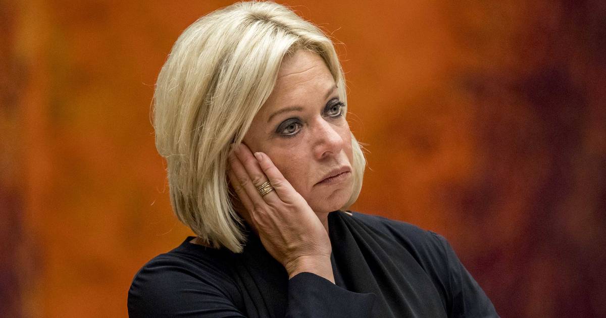 Nederlandse Minister Van Defensie Stapt Op Buitenland Hln Be