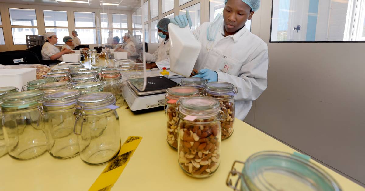 Pieter Pot moet groeien om winst te draaien: Miljoenen voor ...