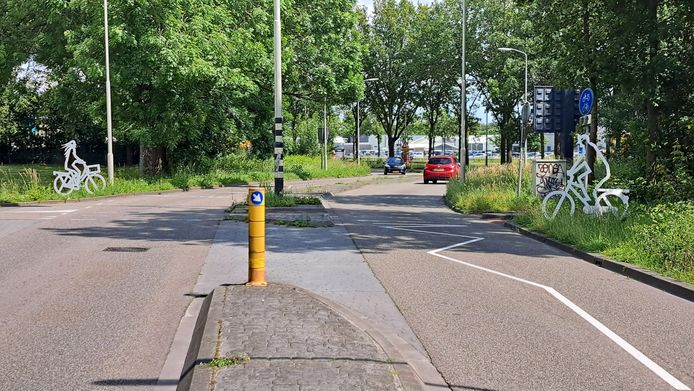 Deze metalen nepfietsers moeten straat in Roosendaal veiliger maken ... Deze metalen nepfietsers moeten straat in Roosendaal veiliger maken ...