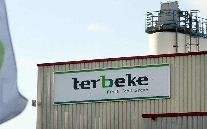 Voedingsbedrijf Ter Beke wordt 'What's Cooking?' | Economie | hln.be