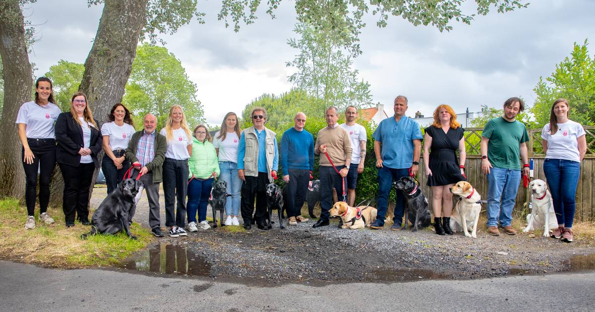 Deze acht blindengeleidehonden hebben hun diploma op zak | Koksijde | hln.be